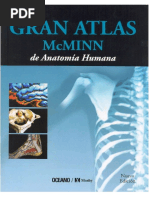 NBI Morton. Anatomía Macroscópica | PDF | Abdomen | Anatomía