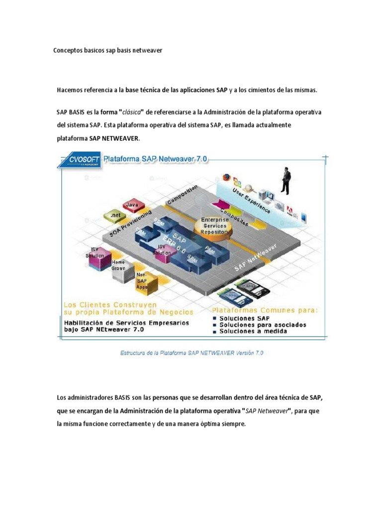 Conceptos Basicos Sap Basis Netweaver | PDF | Apoyo | Software