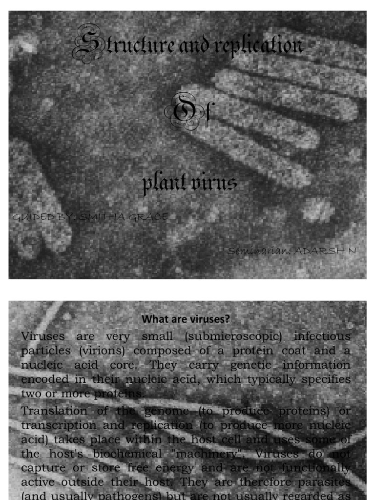 Plant Virus Diagram