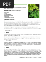 Beneficios y usos de la curarina | PDF | Diálisis | Riñón