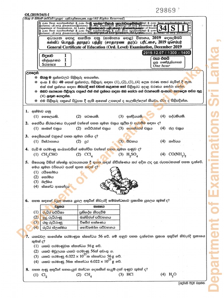 2019 Ol Science Paper | PDF