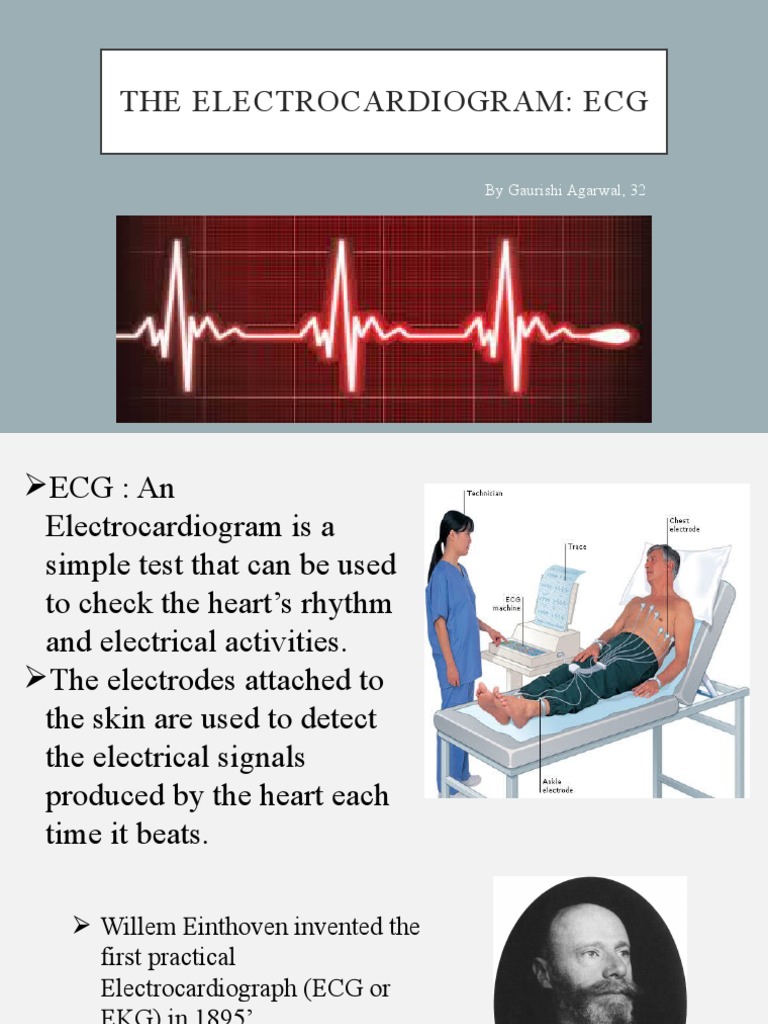The Electrocardiogram | PDF | Electrocardiography | Thorax (Human Anatomy)