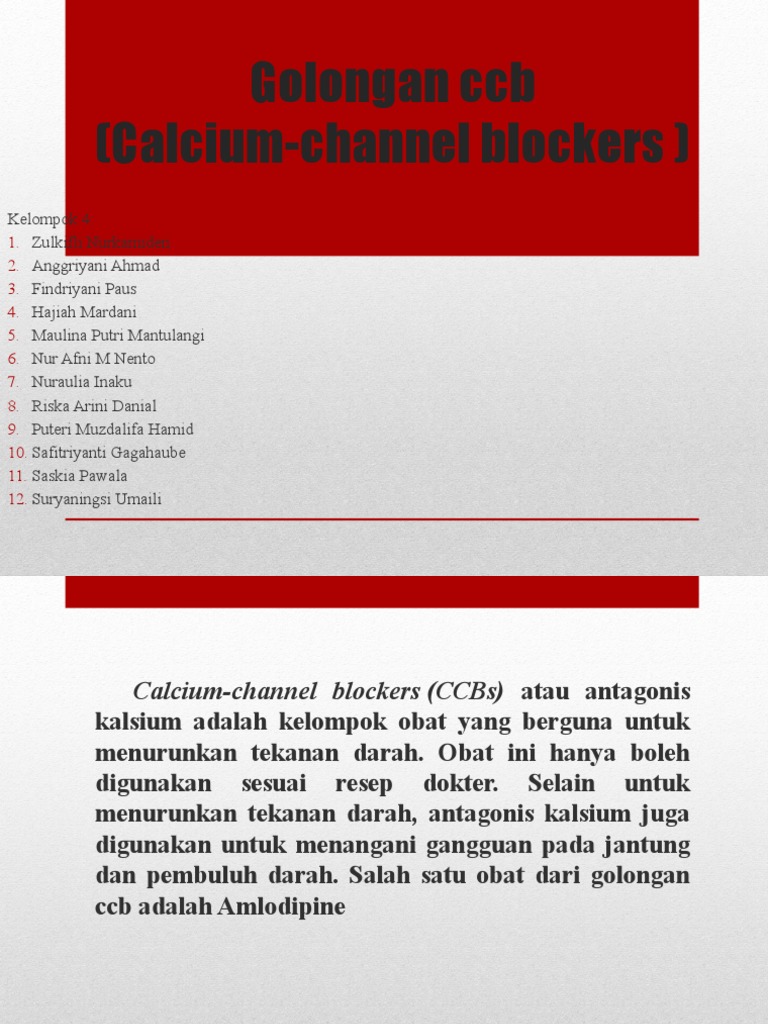Kel 4 Golongan CCB | PDF