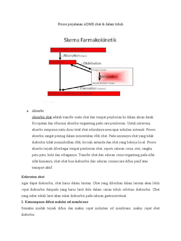Proses Perjalanan ADME Obat Di Dalam Tubuh | PDF