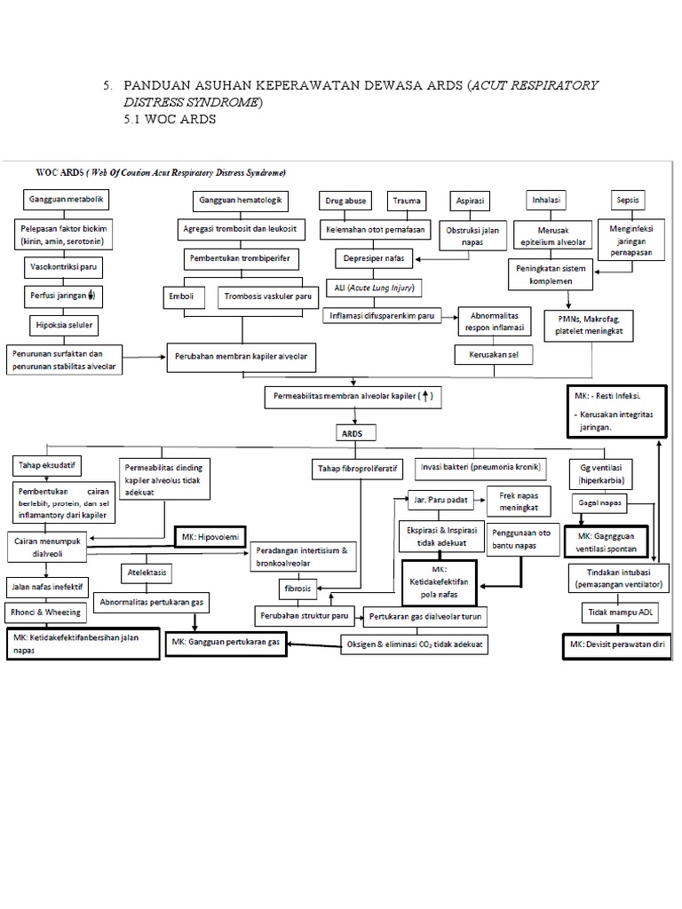 Pak Dewasa Ards | PDF