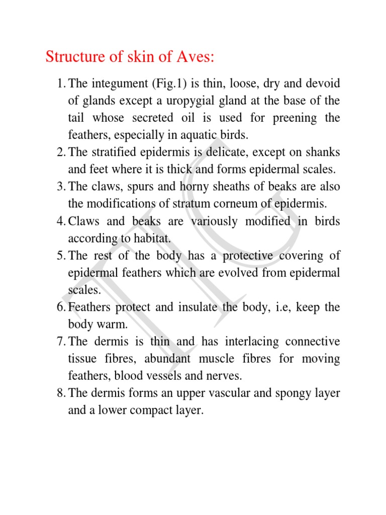 Aves Skin Pdf Skin Seawater