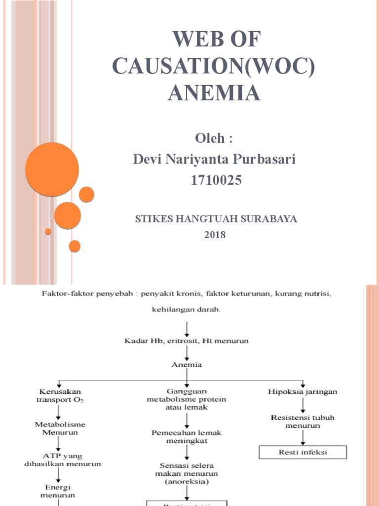 Patofisiologi Anemia | PDF