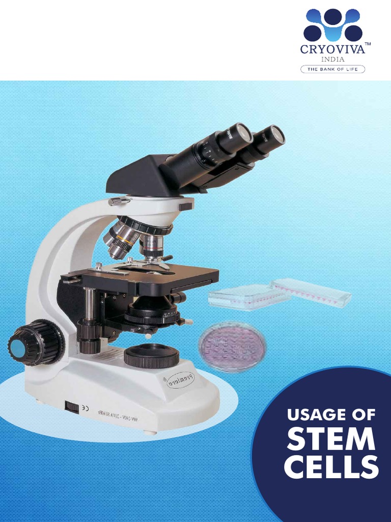 Stem Cell Book | PDF | Leukemia | Diseases And Disorders