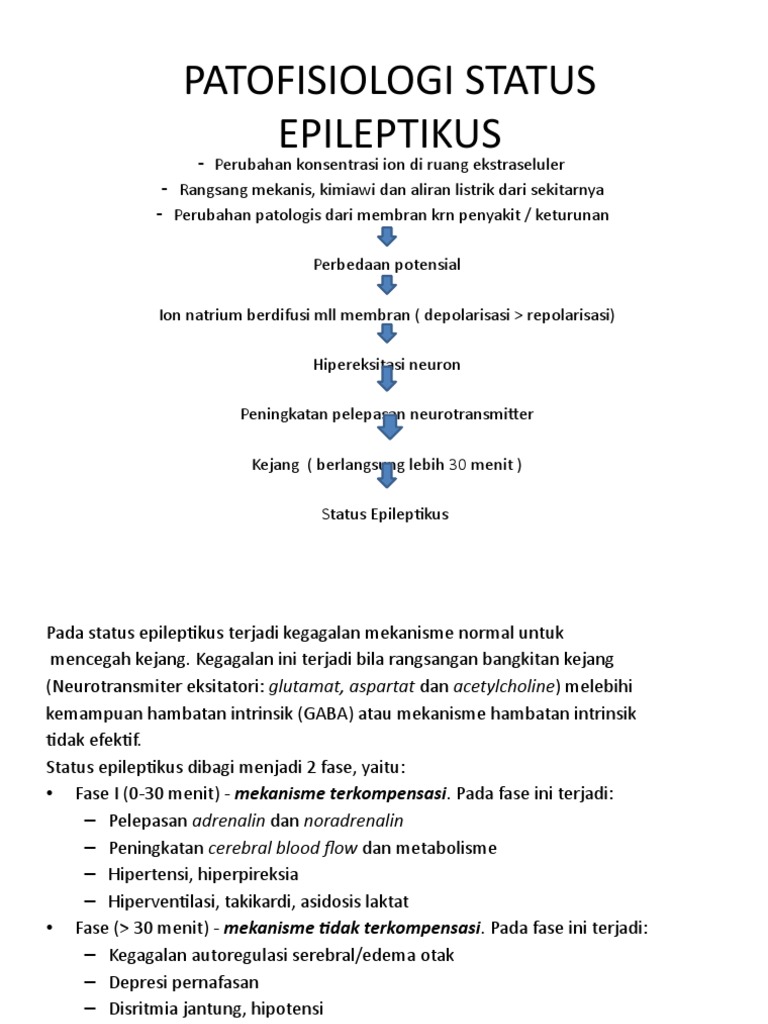 Patofisiologi Status Epileptikus | PDF