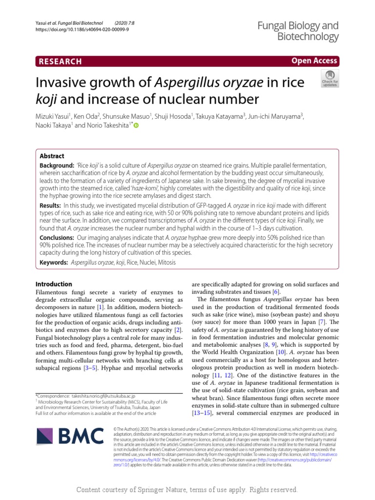 Invasive Growth of Aspergillus Oryzae in Rice Koji | PDF | Confocal ...