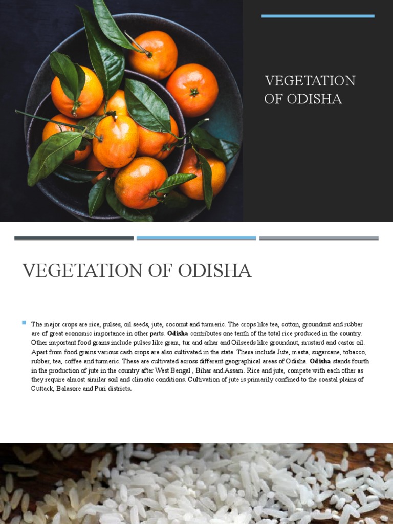 Vegetation of Odisha | PDF | Agriculture | Rice