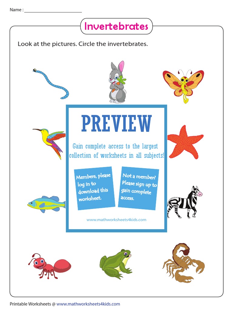 Circle Invertebrate | PDF