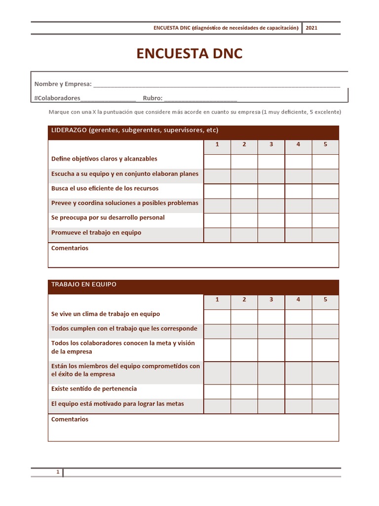 Encuesta Simple DNC 2021 | PDF