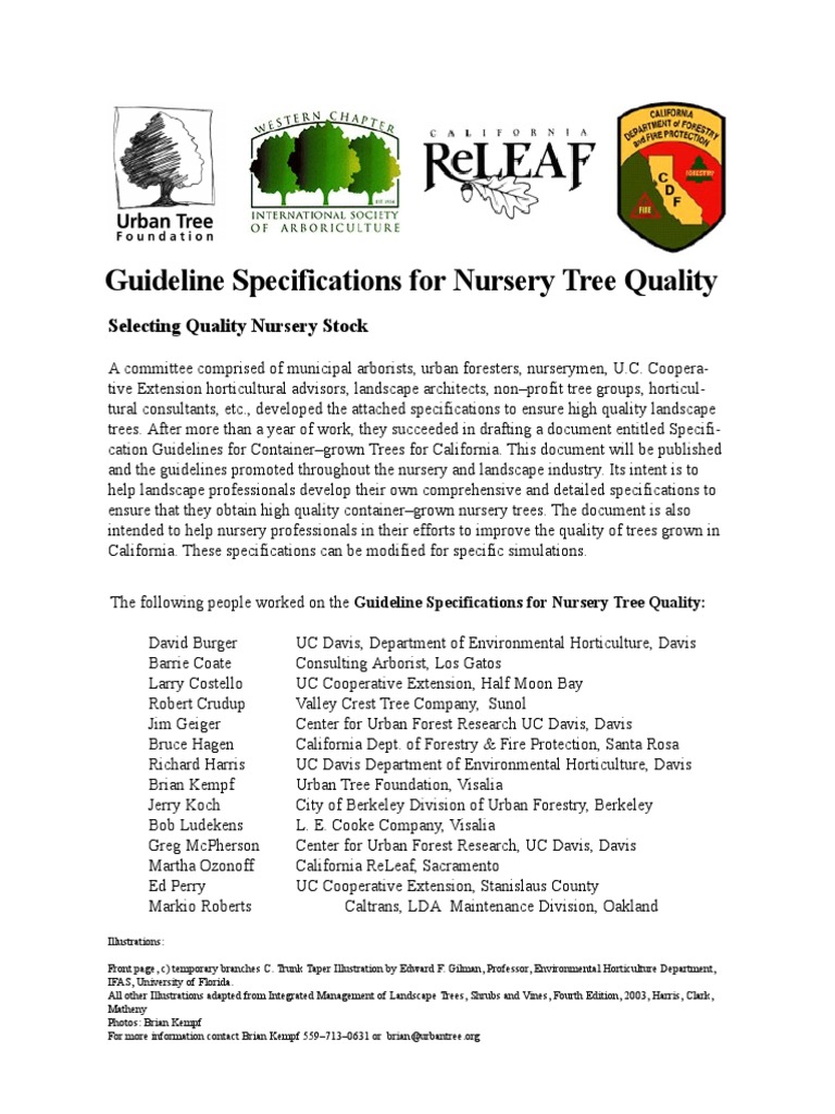Guideline Specifications For Nursery Tree Quality | PDF | Trees | Pruning