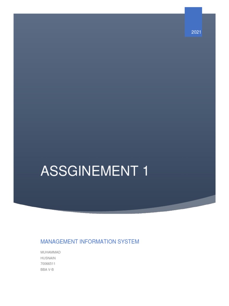 Assignment 2 Mis | PDF | Ios | I Phone