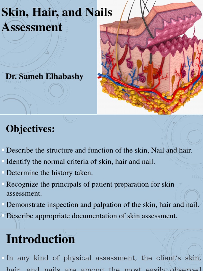 Skin, Hair, and Nails Assessment Guide | PDF | Hair | Nail (Anatomy)