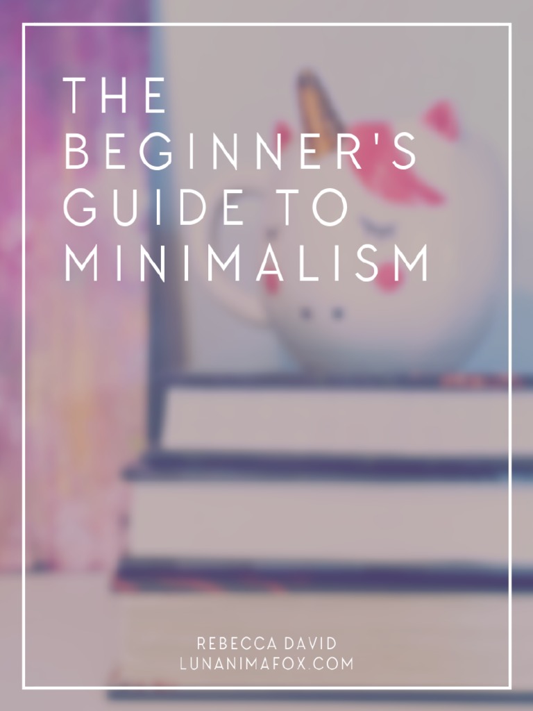 Beginner's Guide To Minimalism | PDF