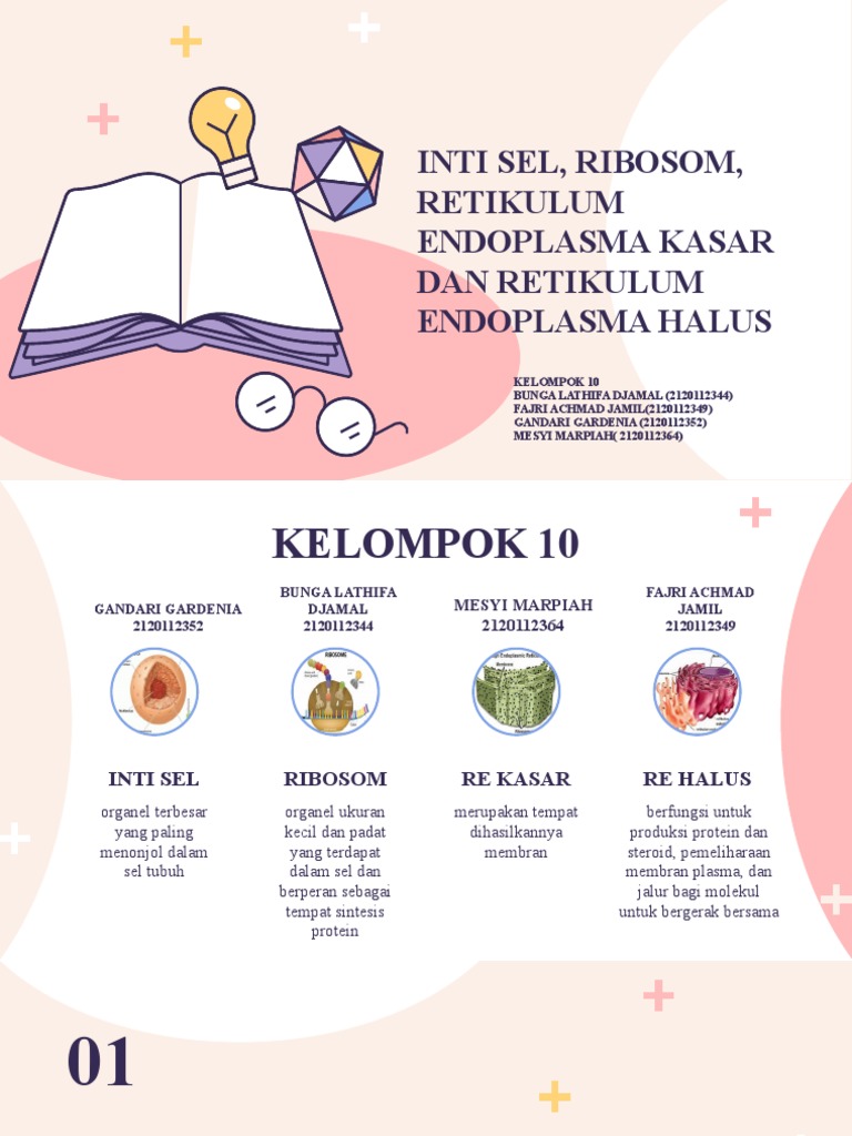 Kelompok 10 - KETERKAITAN INTI SEL, RIBOSOM, RE KASAR DAN RE HALUS | PDF