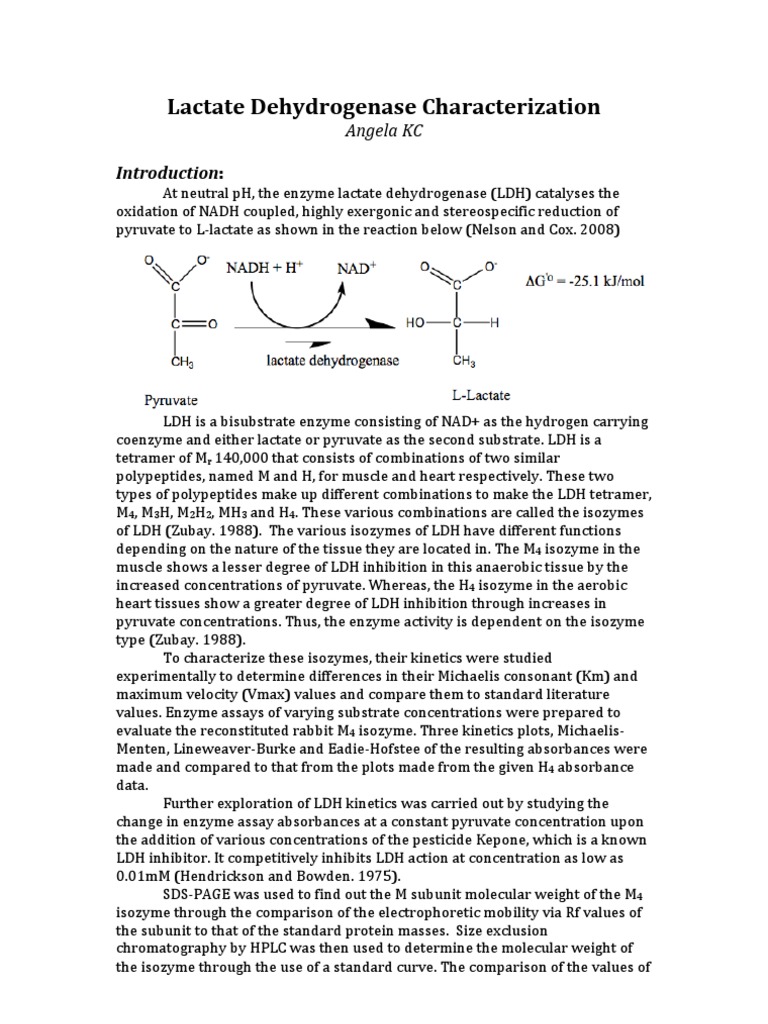 Lactate Dehydrogenase Characterization | PDF | Gel Electrophoresis ...