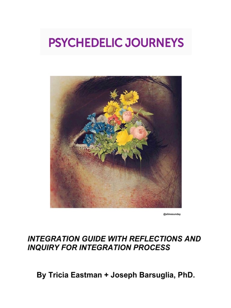 Psychedelic Integration + Reflections | PDF | Meditation | Stimulant
