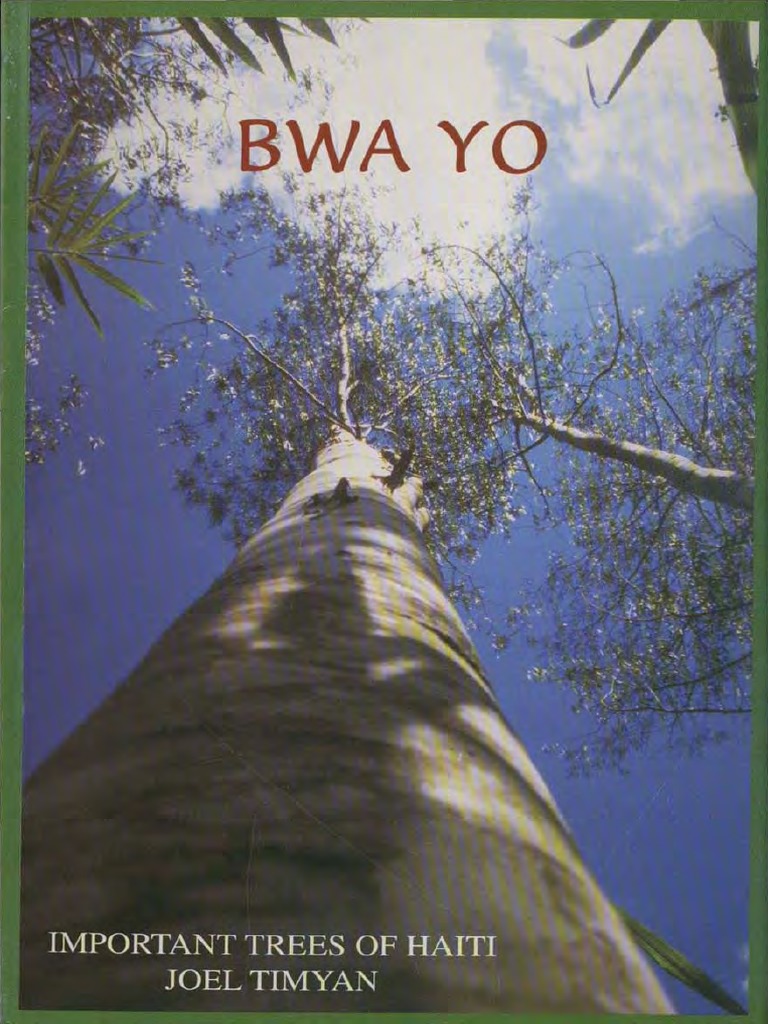 Important Trees of Haiti | PDF | Grafting | Leaf