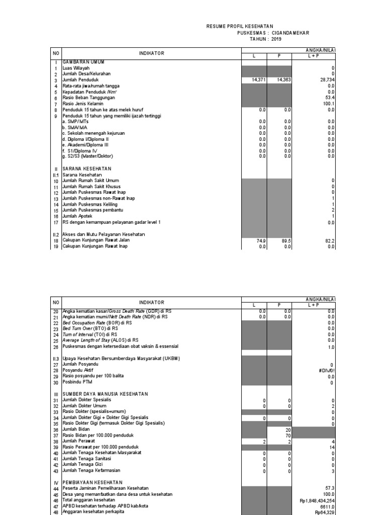 Profil 2020 PKM Cigandamekar | PDF