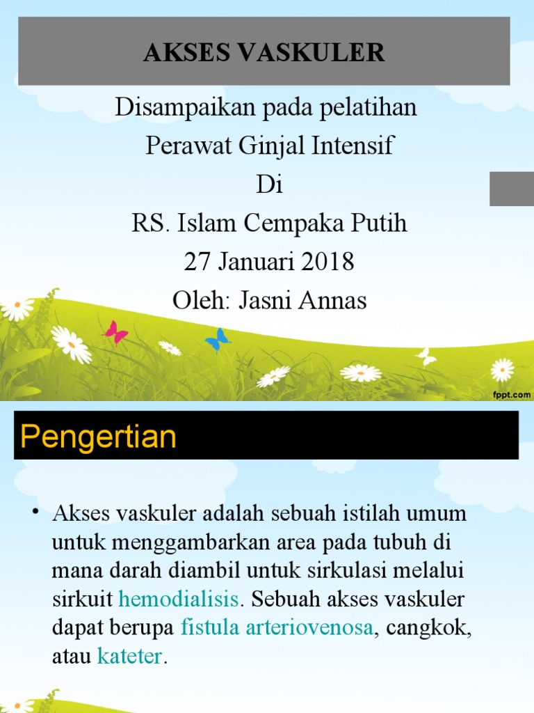 Akses Vaskuler untuk Hemodialisis | PDF