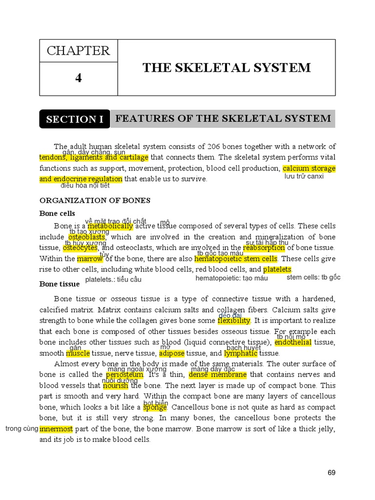 (Reading 3) The Skeletal System | PDF | Anatomical Terms Of Motion | Bone