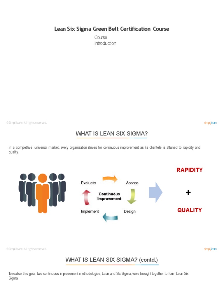 Intro 6 Sigma | PDF | Six Sigma | Learning
