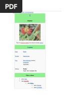 Características y usos del matapalo | PDF | Arboles | Hoja