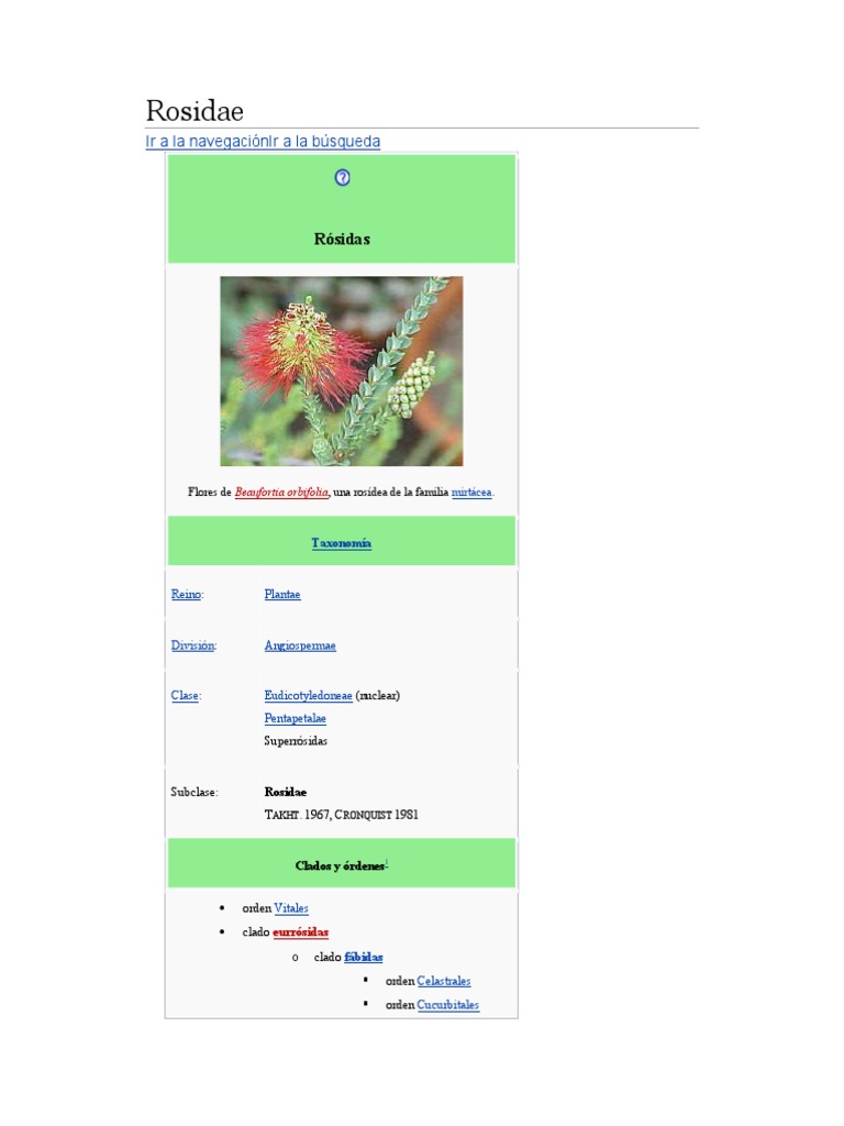 Rosidae | PDF | Plantas