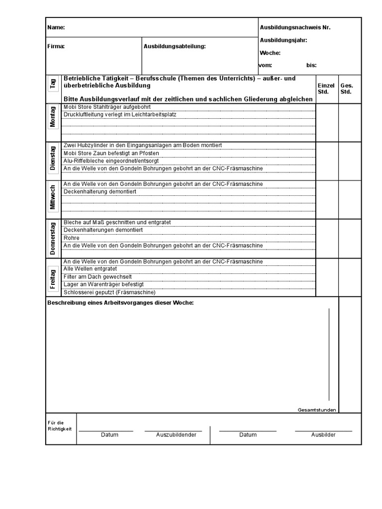 Berichtsheft Muster | PDF