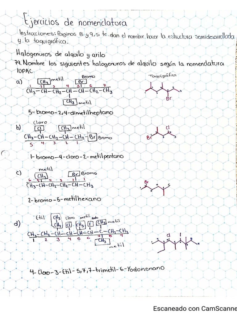 Ejercicios de Nomenclatura | PDF