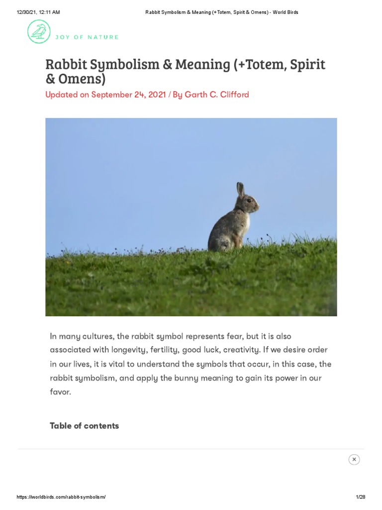 Rabbit Symbolism & Meaning (+totem, Spirit & Omens) - World Birds | PDF ...