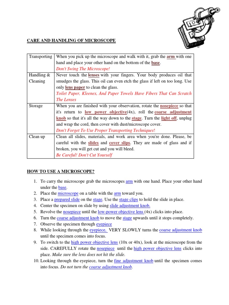 Care and Handling of Microscopes | PDF | Microscope | Glass Engineering ...