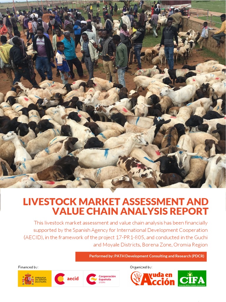 Livestock Value Chain and Market Study in Borena | PDF | Market ...
