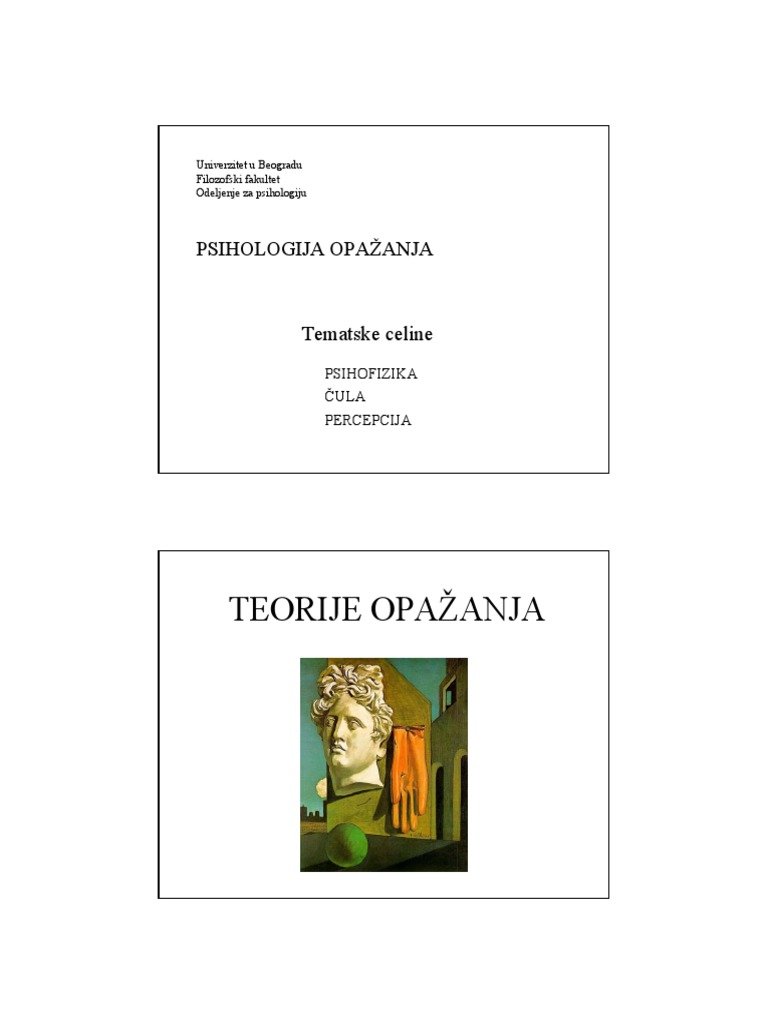 PERCEPCIJA | PDF