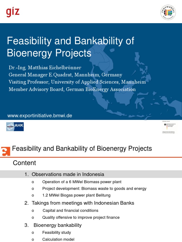 Feasibility and Bankability of Bioenergy Projects | PDF | Biogas ...