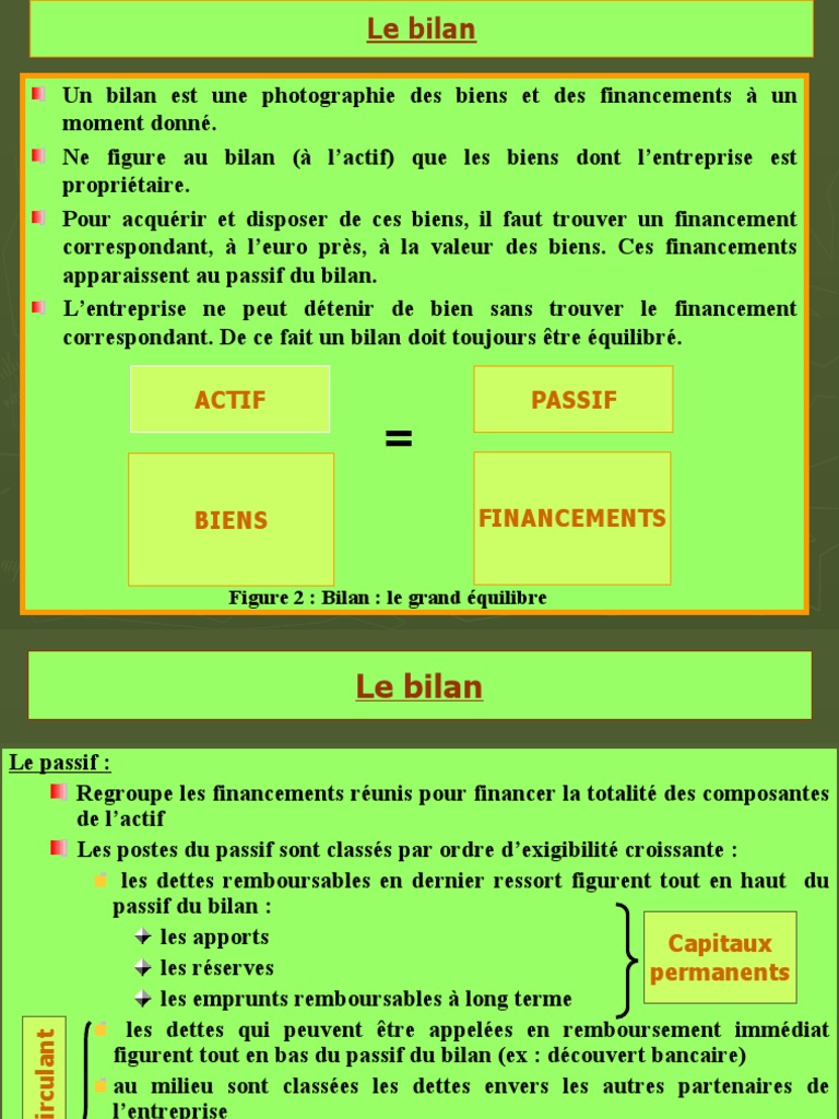 Bilan Comptable Et Bilan Fonctionnel | PDF | Bilan comptable | Capitaux propres