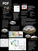 Case Study 01 Viveda Wellness Retreat | PDF