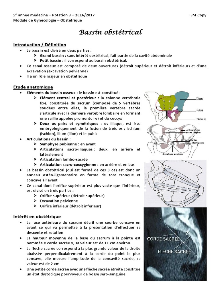 Anatomie et Types de Bassin Obstétrical | PDF | Bassin (anatomie ...
