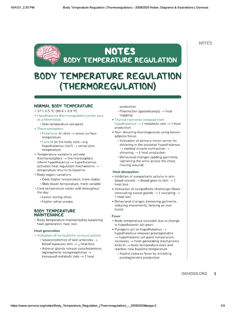 Body Temperature Regulation | PDF