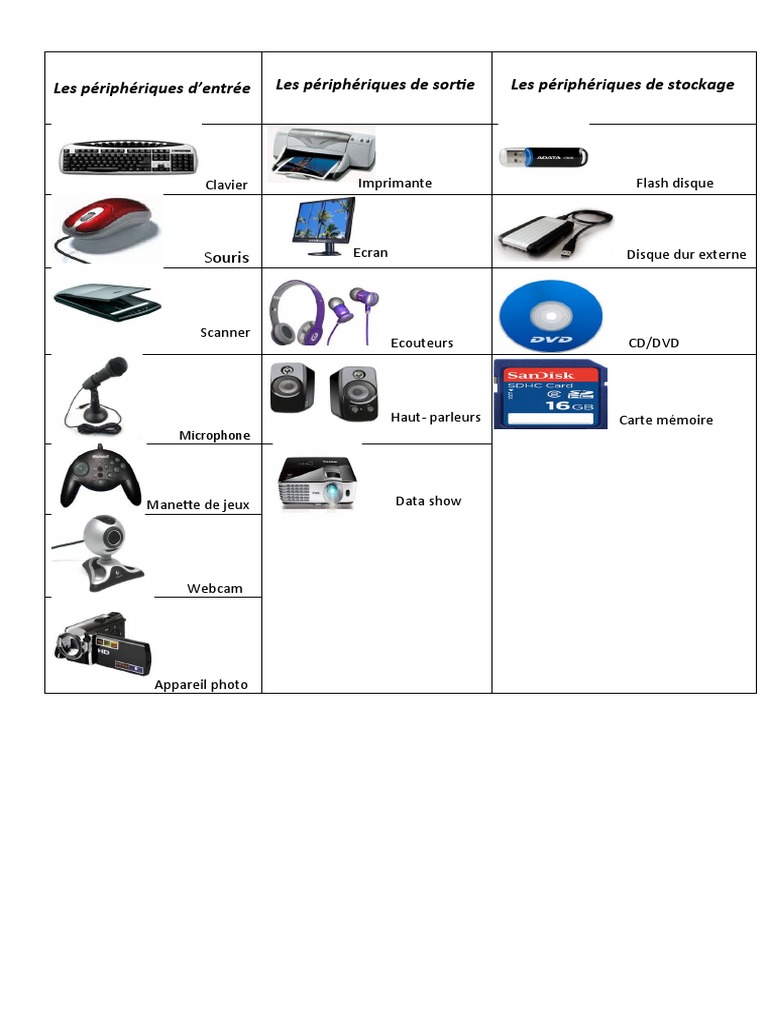 Les Types de Périphérique | PDF