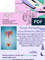 Anatomi dan Fisiologi Ginjal Lengkap | PDF