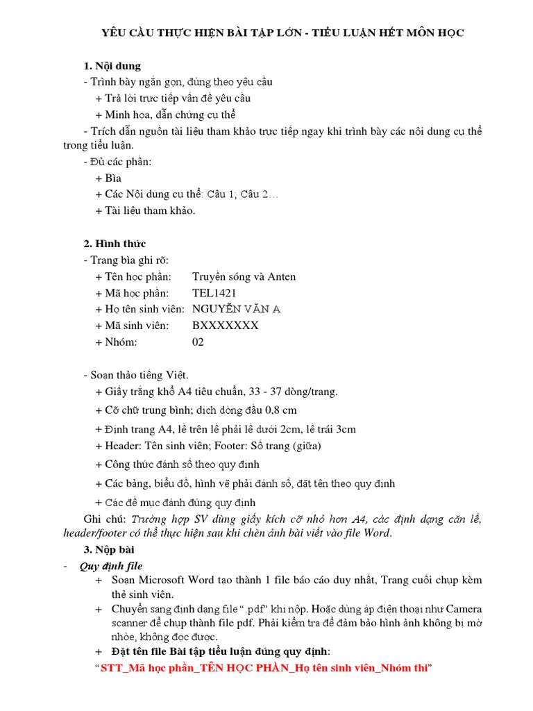 Yeu Cau Format BTL | PDF