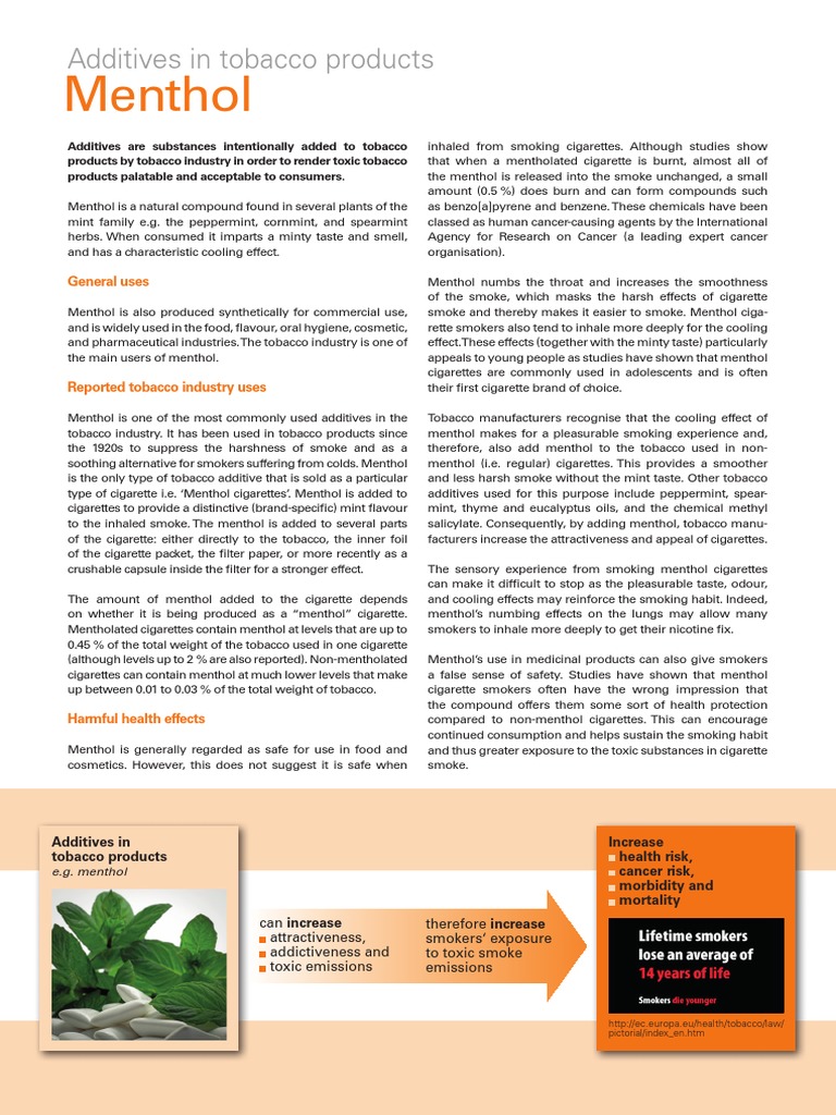 Menthol: Additives in Tobacco Products | PDF | Tobacco Smoking | Addiction