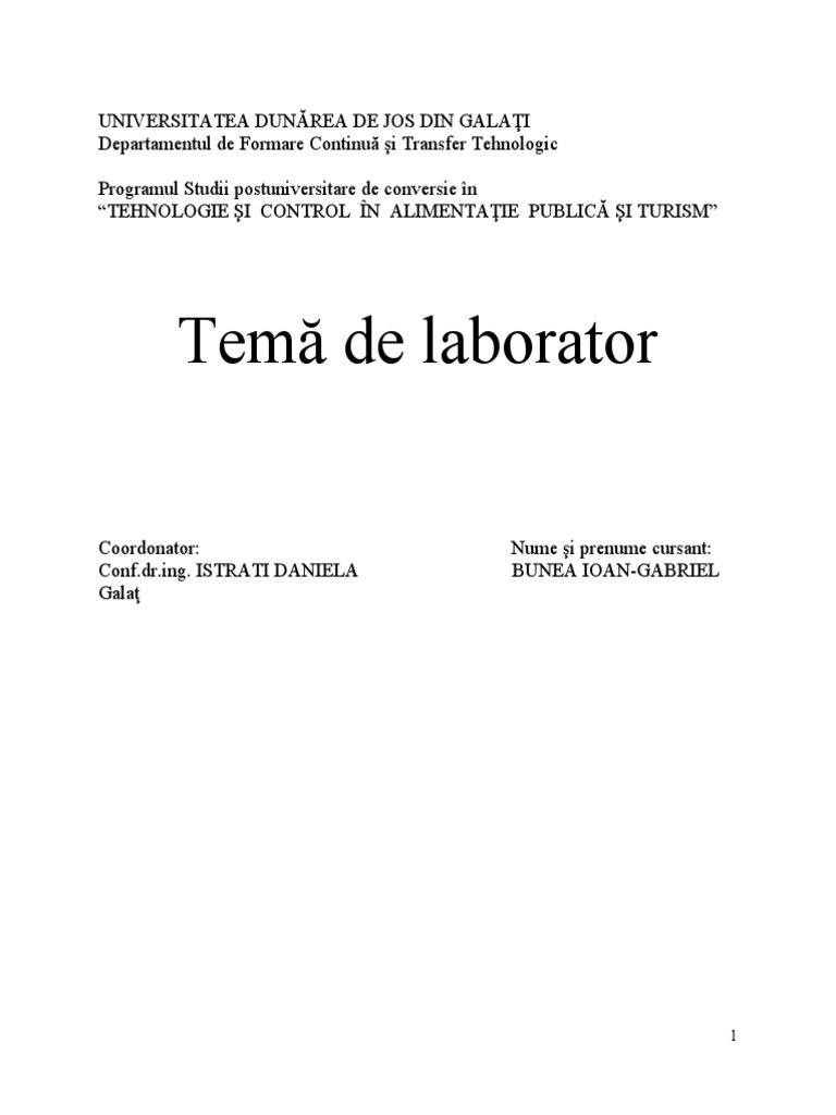 Tema Proiect | PDF