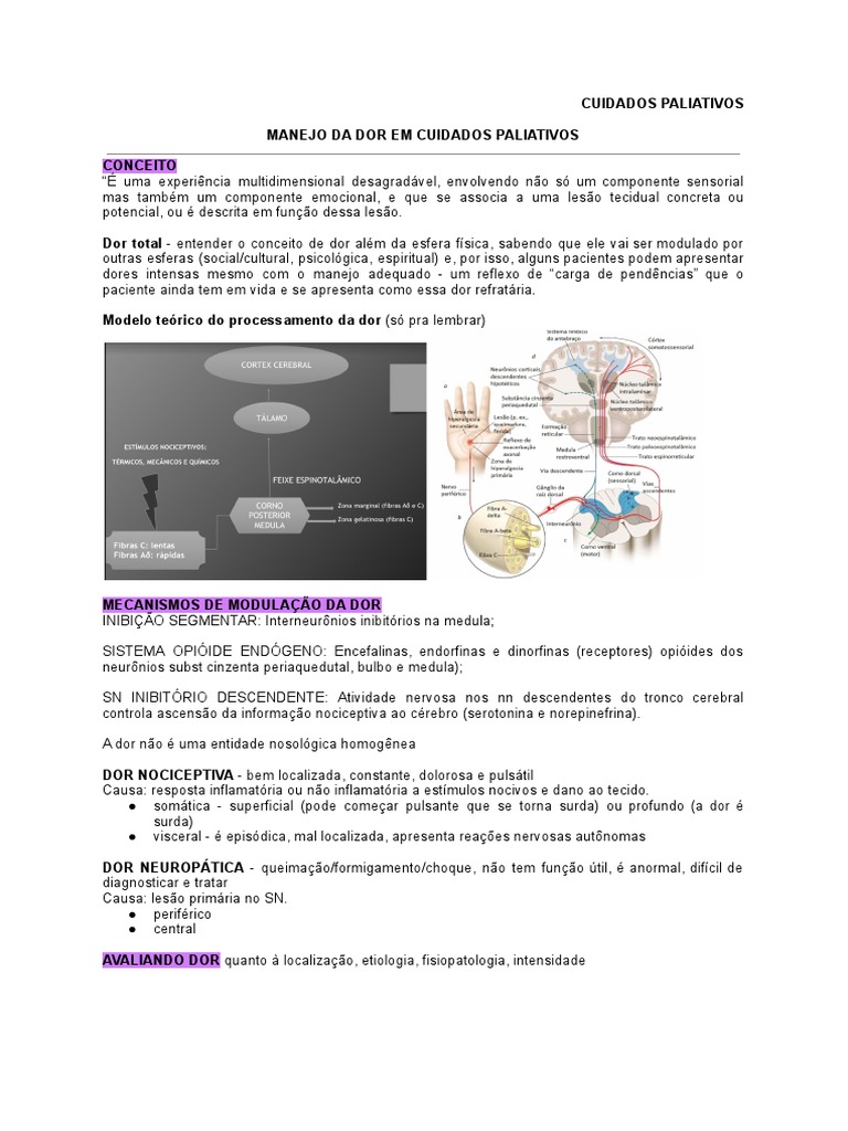 Manejo Da Dor em Cuidados Paliativos | PDF | Dor | Fentanil Manejo Da Dor em Cuidados Paliativos | PDF | Dor | Fentanil