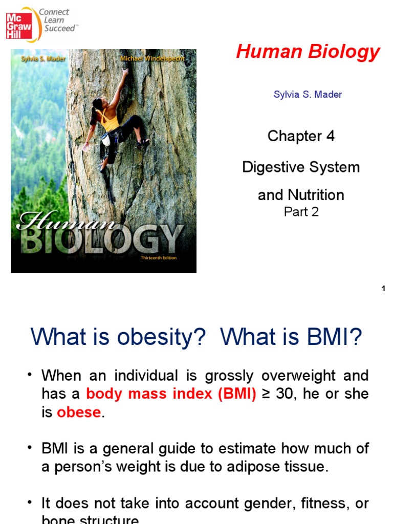 Human BIO CH 4 PT 2 - Digestive System and Nutrition | PDF | Diet ...