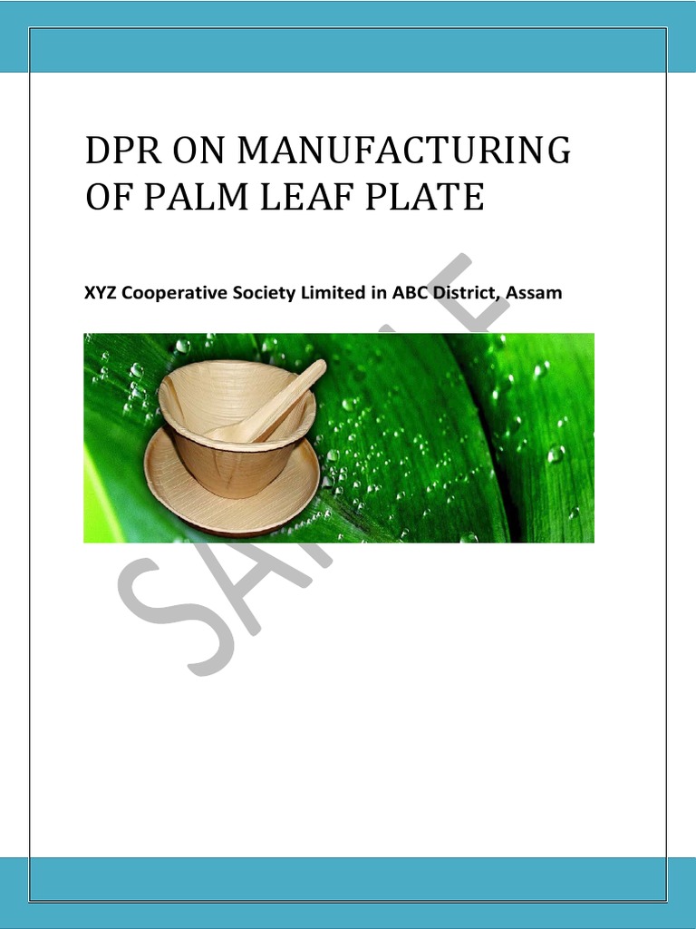 10180405206.sample DPR - Manufacturing of Palm Leaf Plate | PDF ...